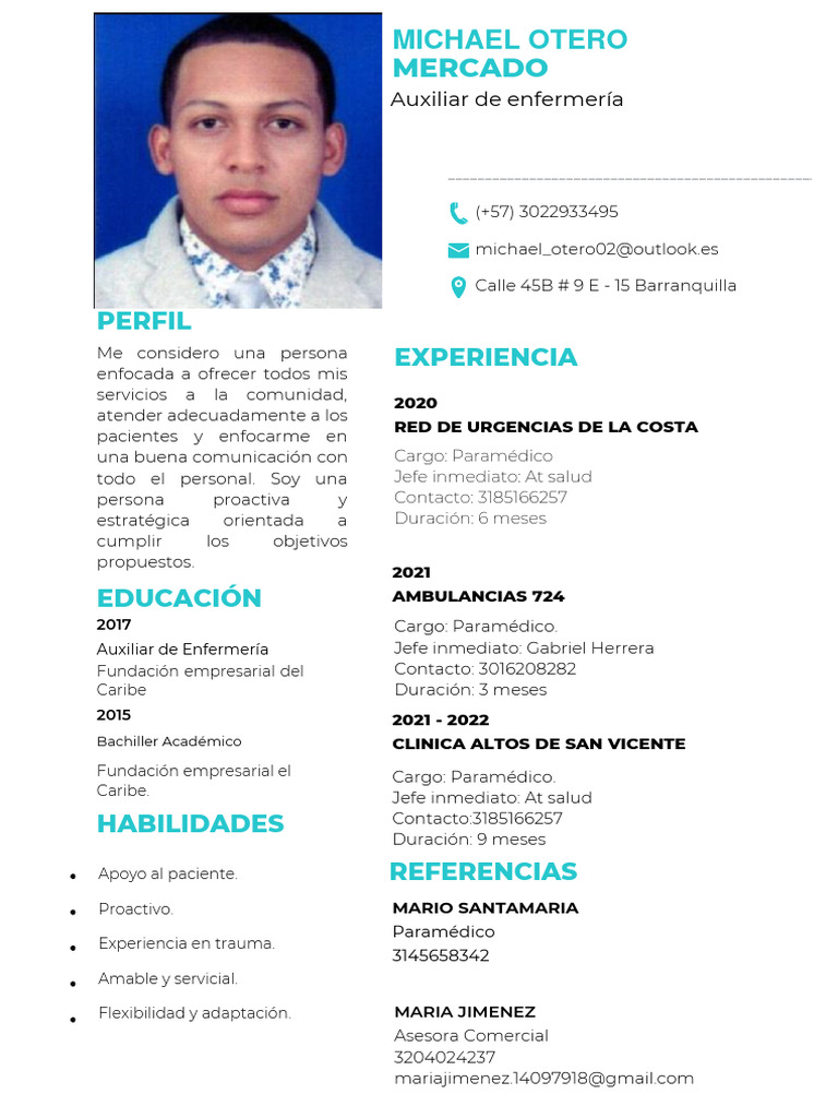 Perfil Profesional de Michael Otero | PDF