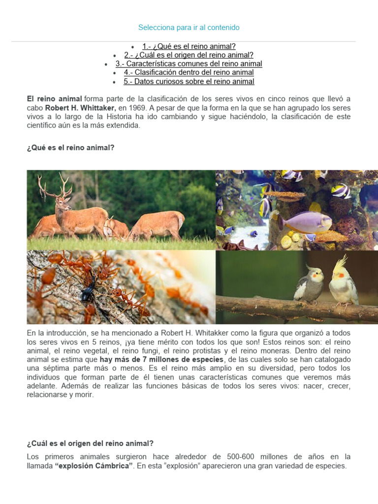 Características y origen del reino animal | PDF | Ciencia y matemáticas