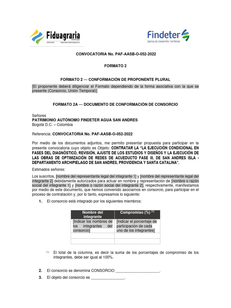 Formato 2 Conformacion de Proponente Plural | PDF