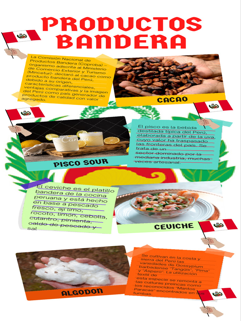 Infografía de Todo Lo Que Puedes Hacer en Cuzco Perú Turismo Colorido | PDF