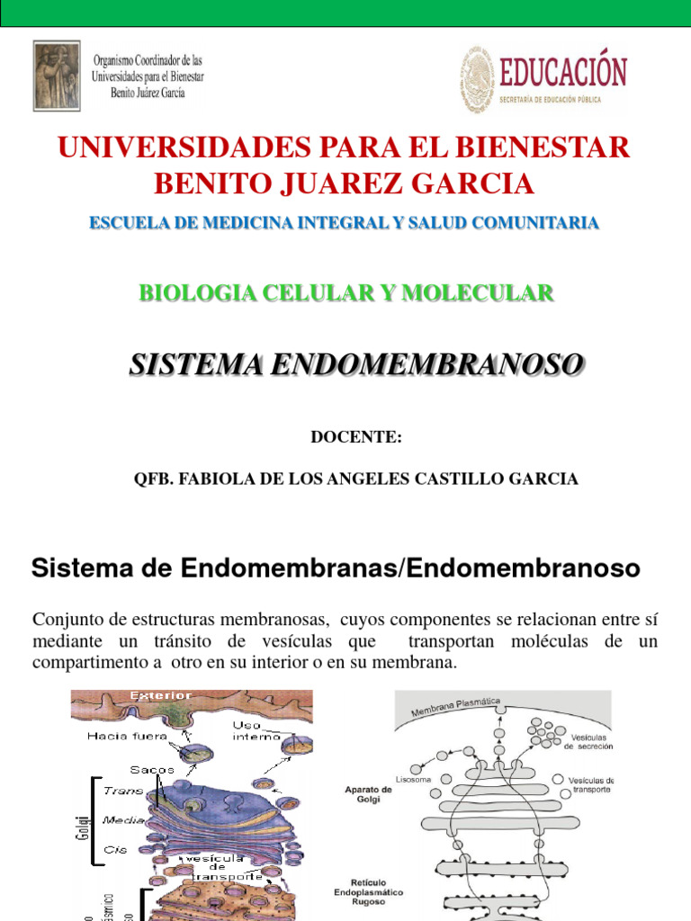 Sistema De Endomembranas PPT - Sistema de Endomembranas PowerPoint ...