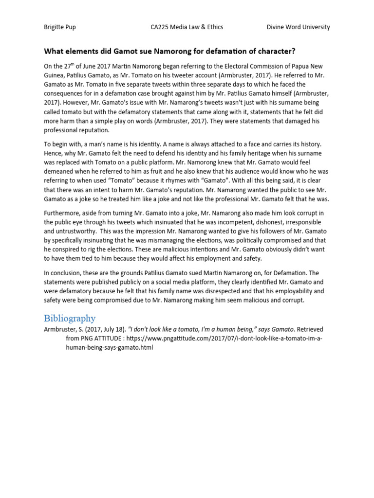 Defamation Essay | PDF