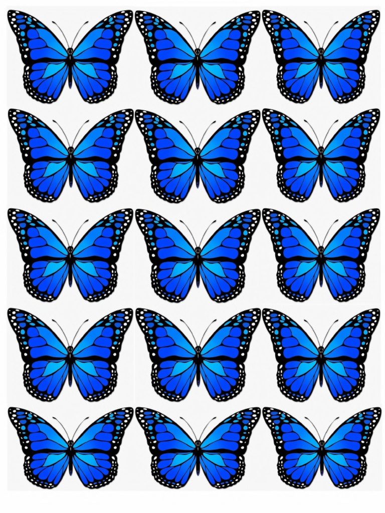 Mariposas Azul Rey | PDF