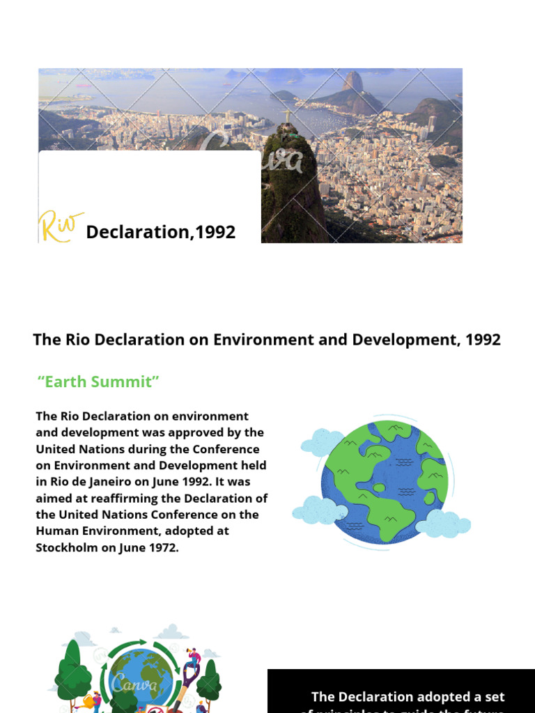 Rio Declaration, 1992 | PDF | Finance & Money Management | Politics