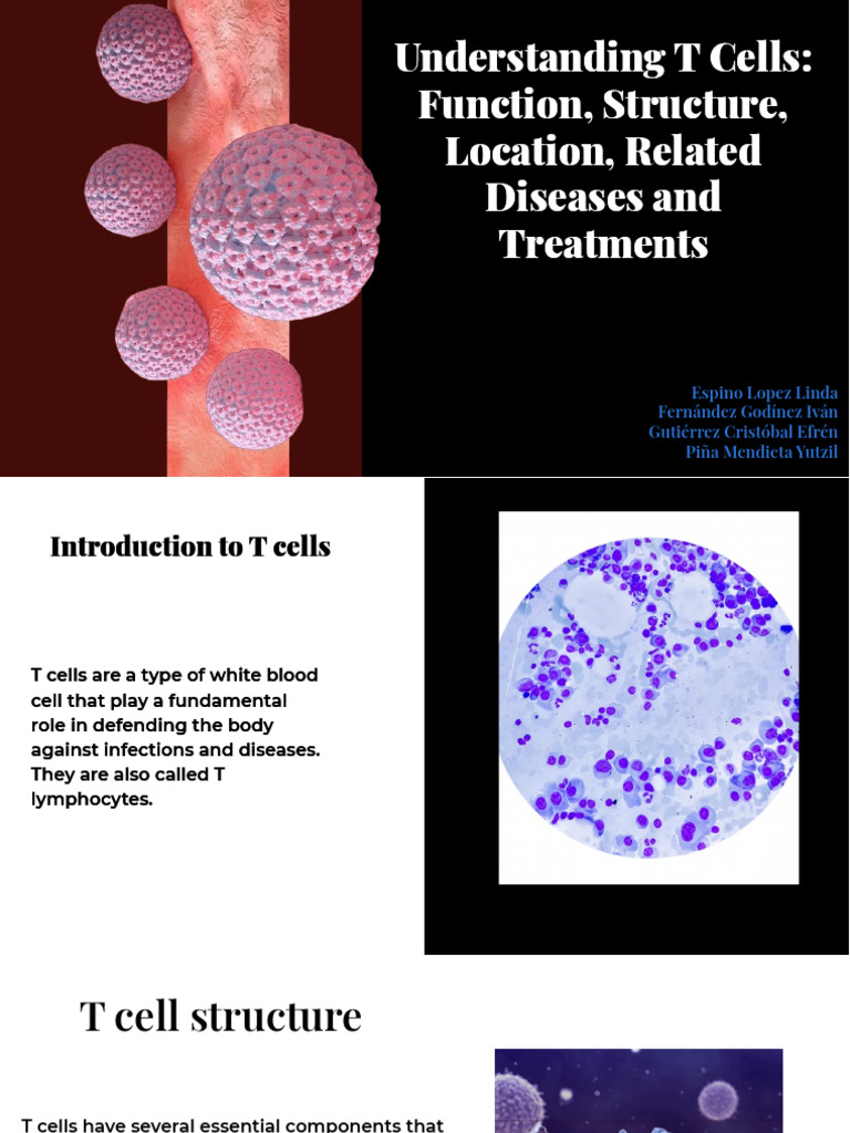 T Cells | PDF | T Cell | Immune System