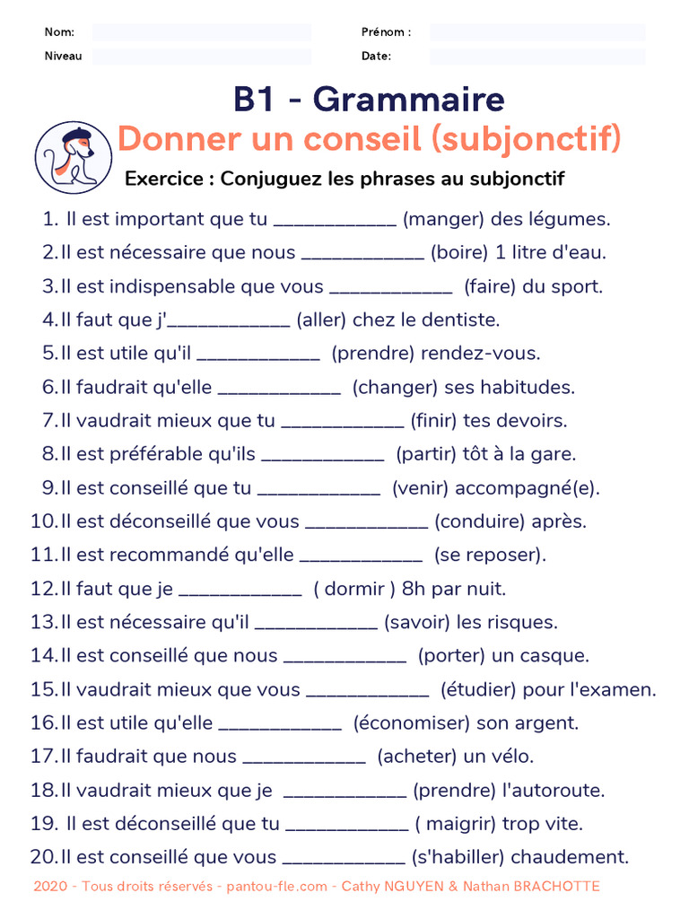 B1 - Donner Un Conseil Avec Le Subjonctif 1 | PDF