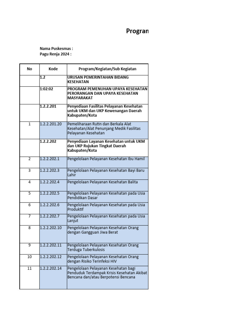 Format RKA PKM 2024 | PDF