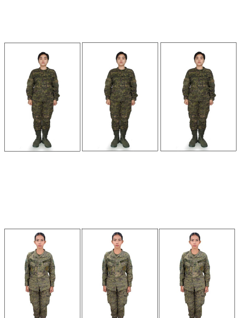 Pic Correct Logo | PDF