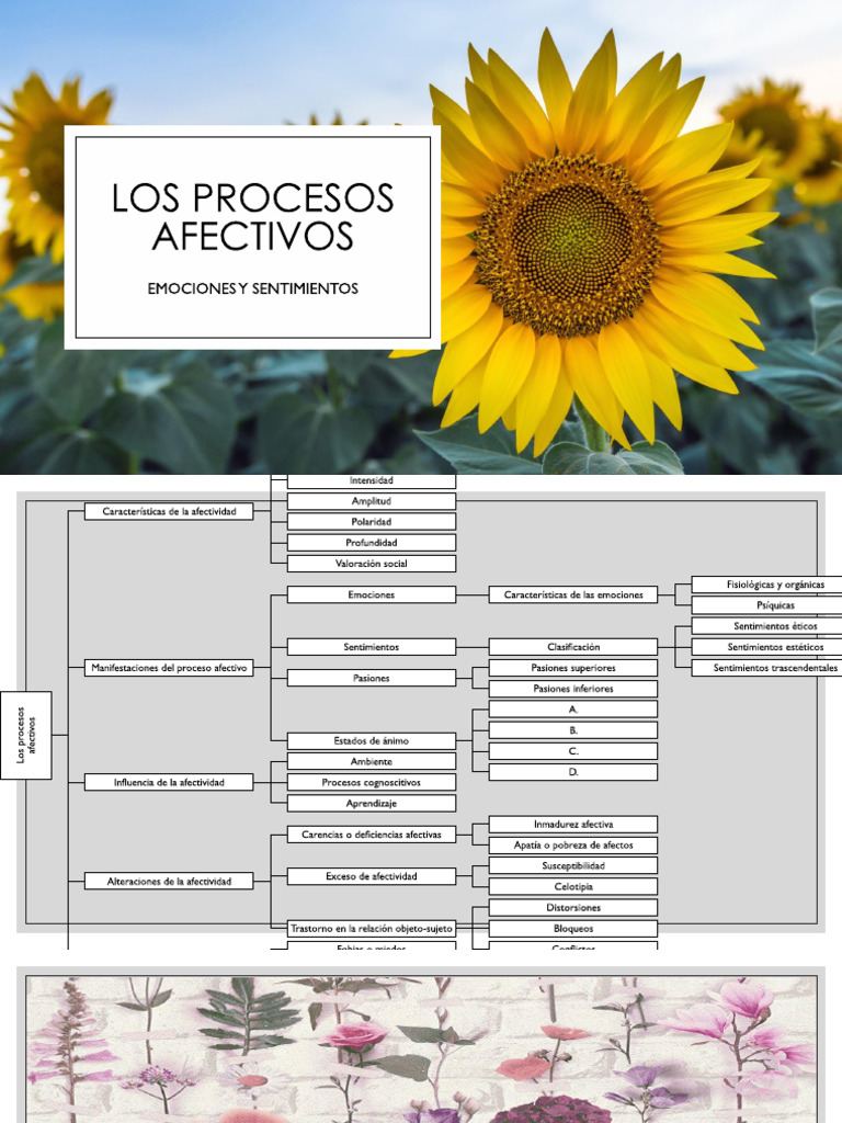 Psicologia - los procesos afectivos | PDF