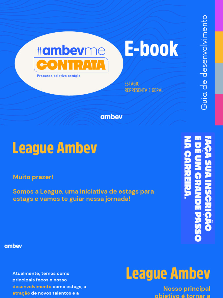 Ambev Trainee 2024 - E-Book | PDF