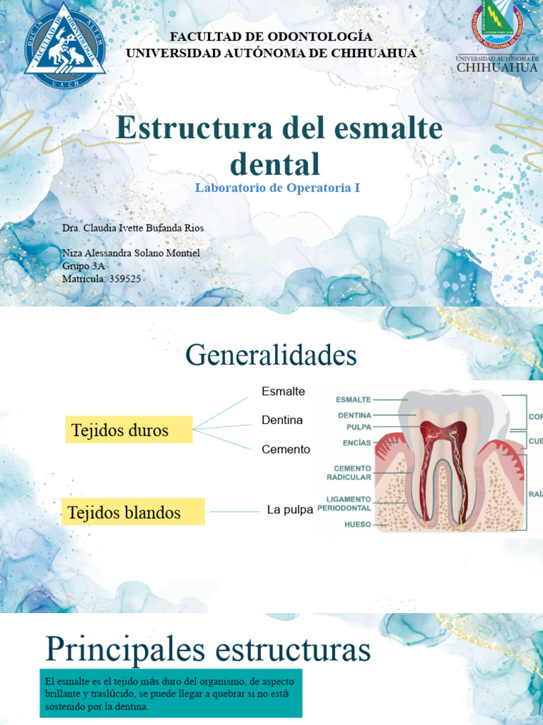 Histologia Del Esmalte Dental. | PDF