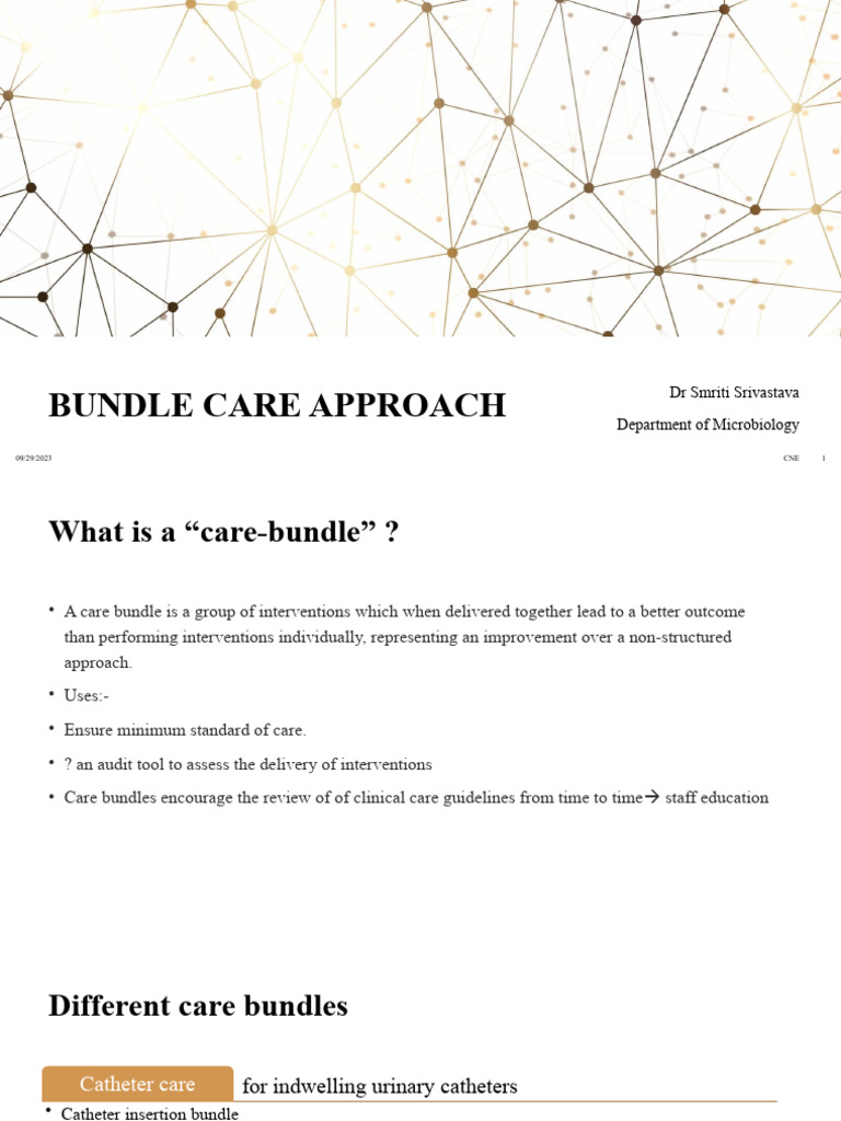 Bundle Care Approach | PDF