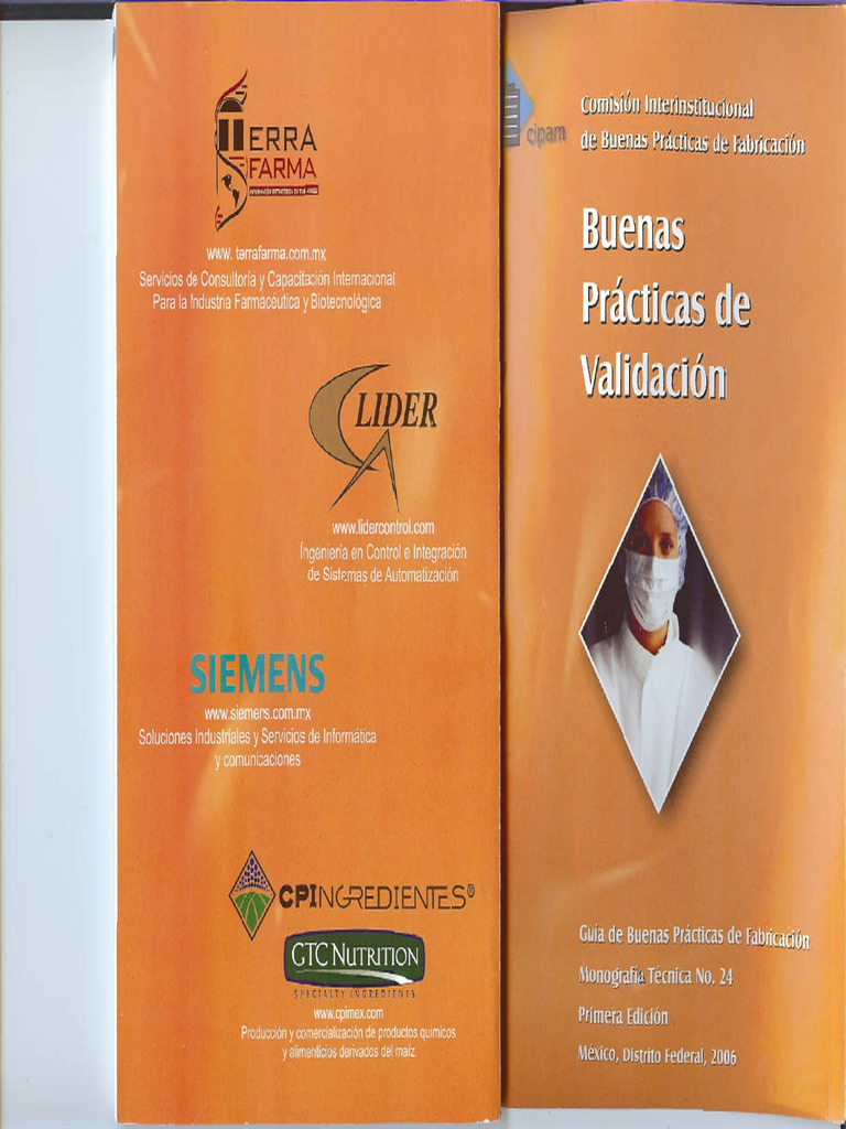 Cipam 24 Buenas Prácticas De Validación Pdf