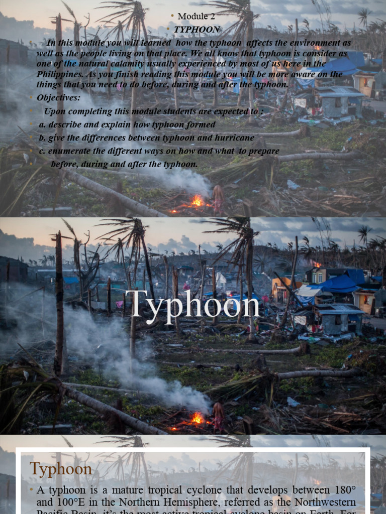 Module 2 Typhoon | PDF
