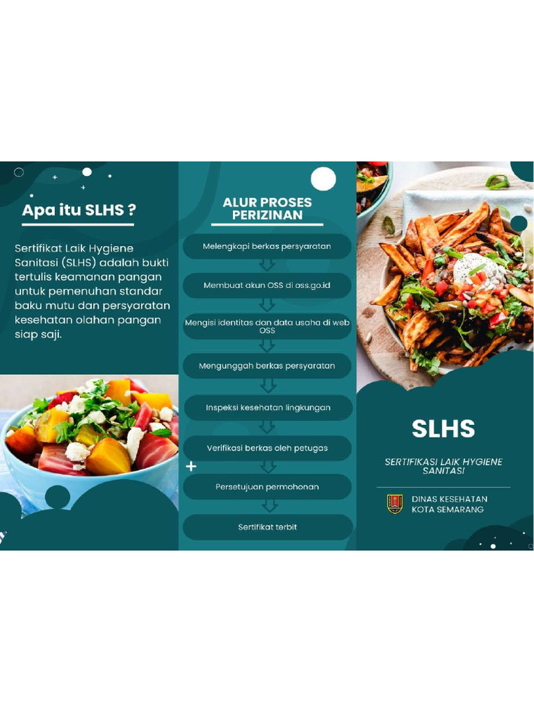 Leaflet SLHS 1 | PDF