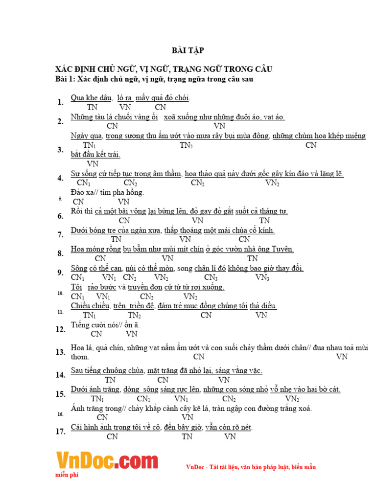 Bai Tap Xac Dinh Chu Ngu Vi Ngu Trang Ngu Trong Cau | PDF