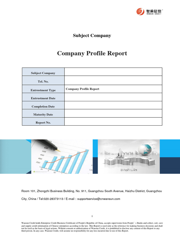 Company Profile Report sample | PDF