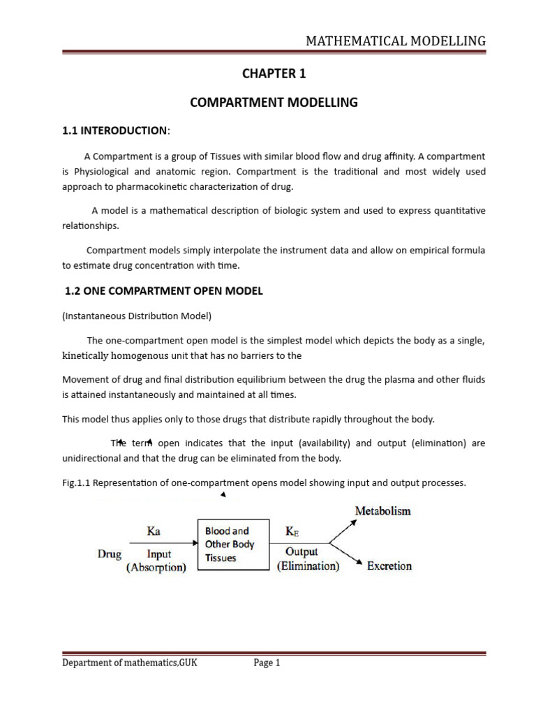 CHAPTER 1 Nikita | PDF