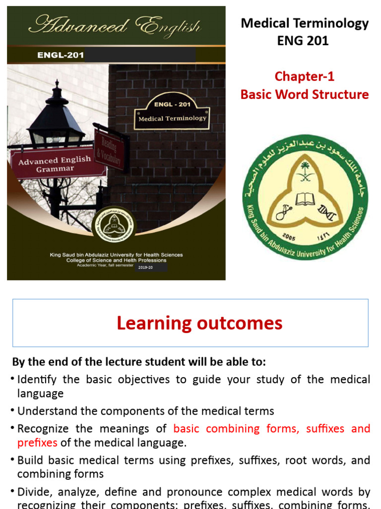 1-Chapter 1 Basic Word Structure. Unified. | PDF