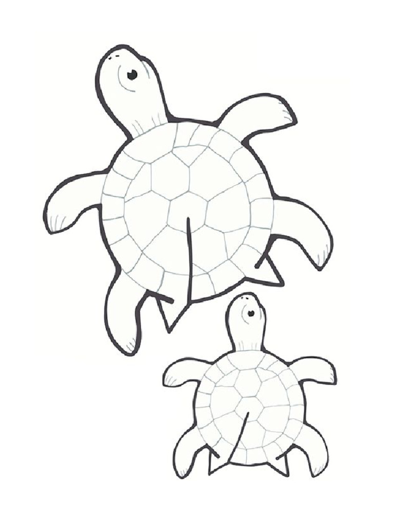 Turtle | PDF