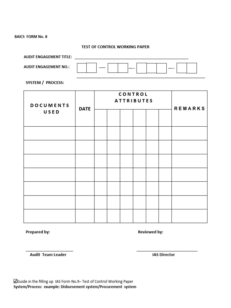 8 - Testing of Controls | PDF