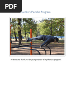 Full Planche V2 Valentin OTZ | PDF | Arm | Strength Training