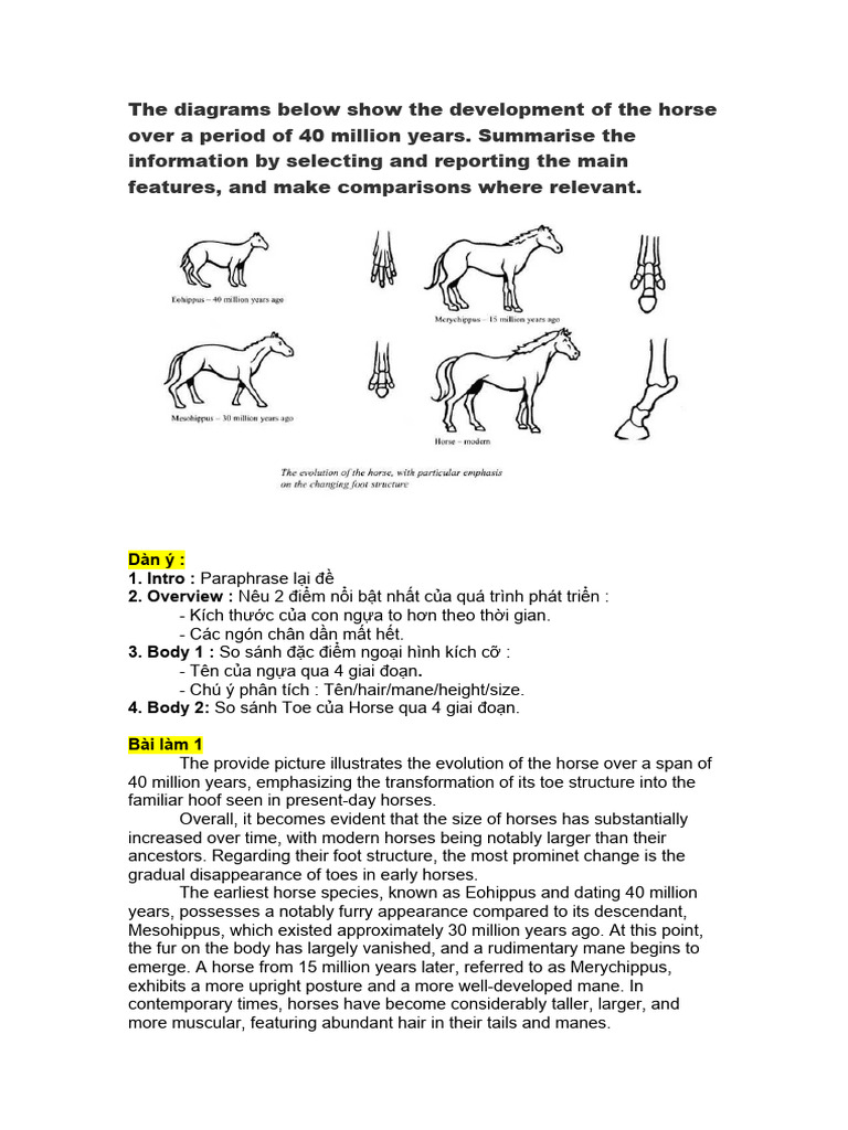Horses Ielts Writing Task 1 | PDF | Social Science | Foreign Language ...