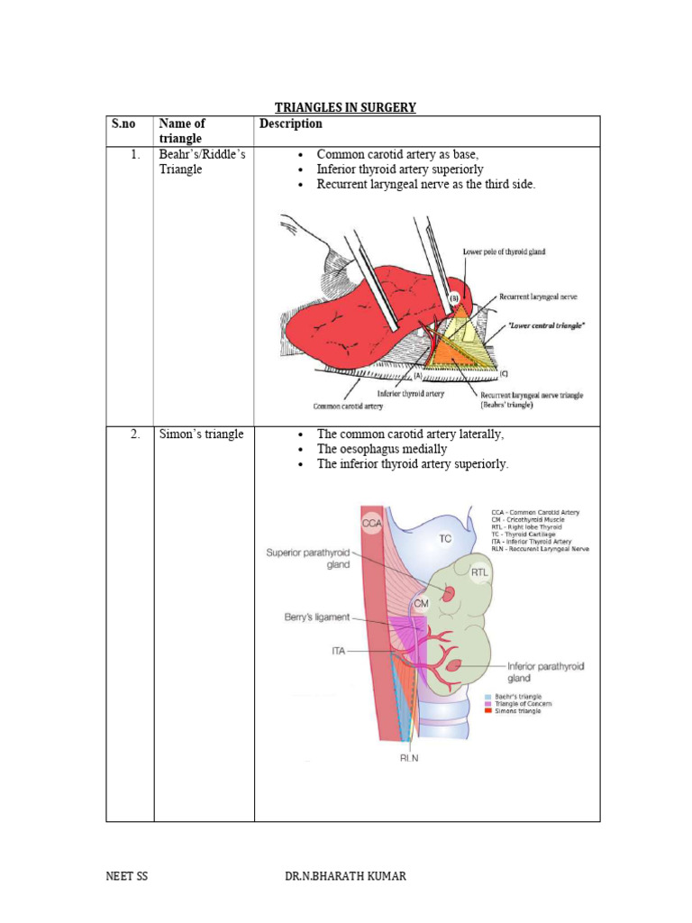 Triangles in Surgery NEET SS | PDF