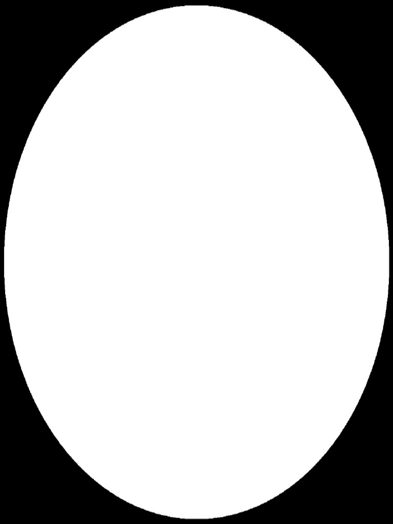 Webcam - Circle - 1080 | PDF