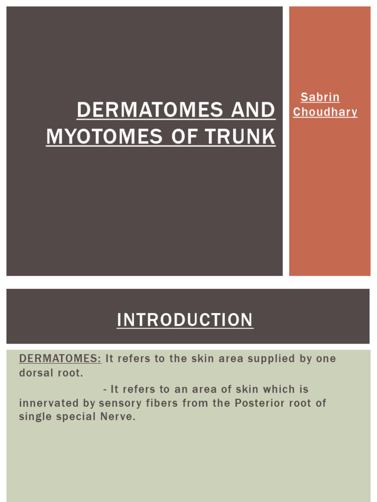 Dermatomes and Myotomes of Trunk | PDF