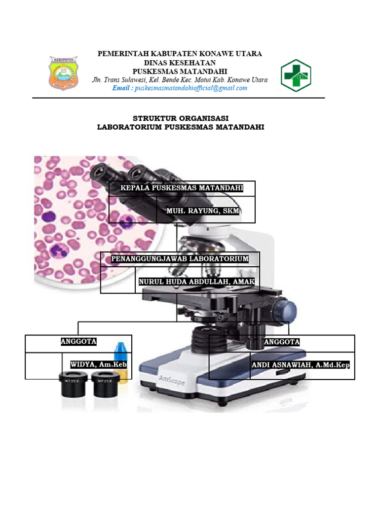 Struktur Organisasi Laboratorium Puskesmas | PDF