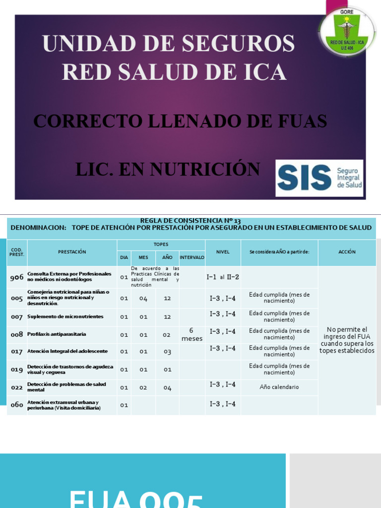 Llenado Correcto de FUAS Minsa 2024 | PDF
