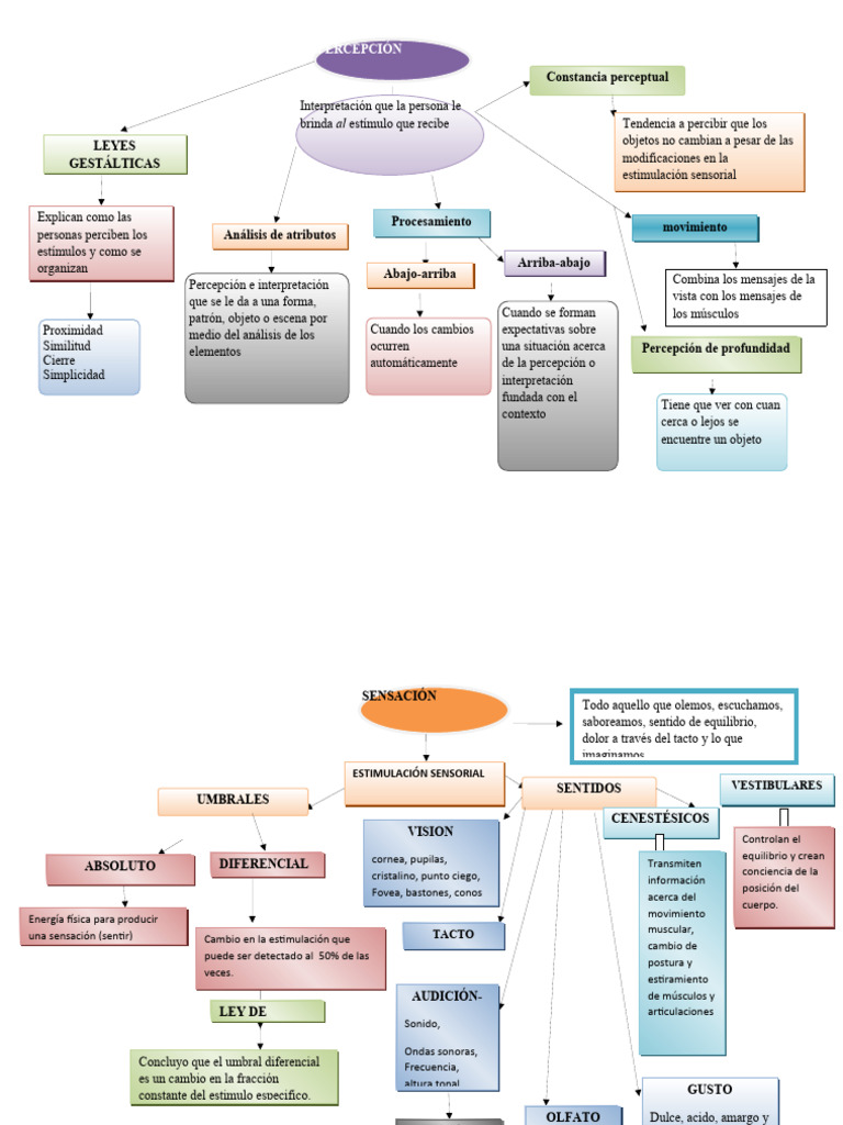 Mapa Conceptual Tarea 4.1 | PDF