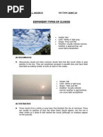 Clouds Notes | PDF | Cloud | Earth Phenomena