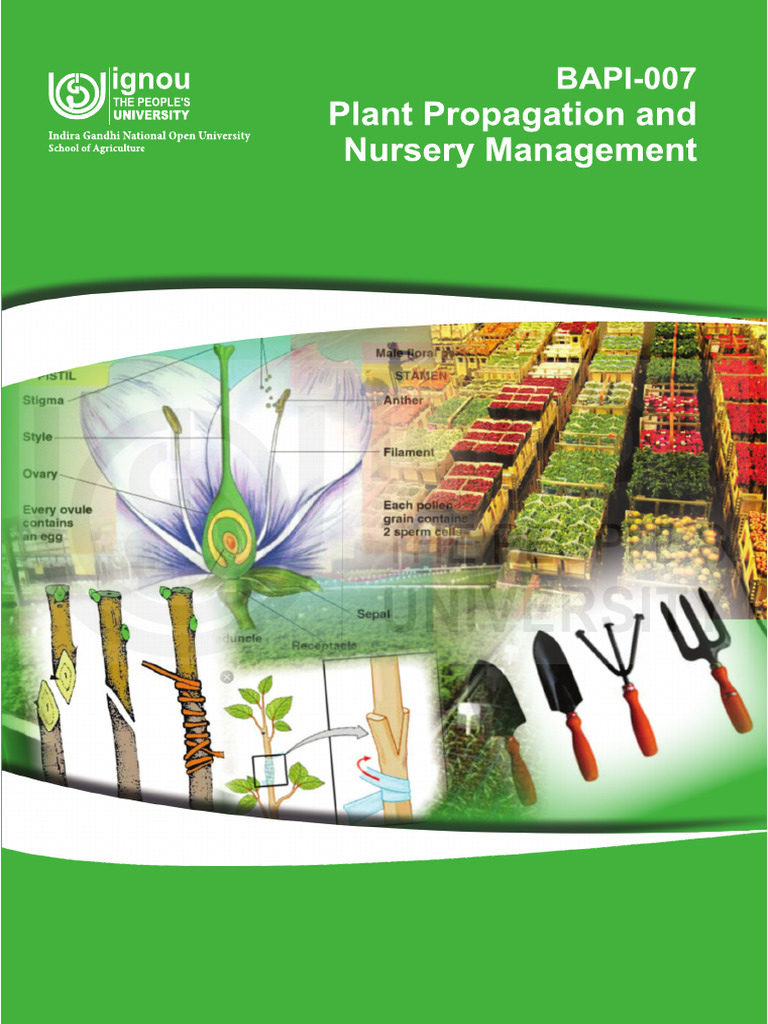 Nursery Management Booklet | PDF