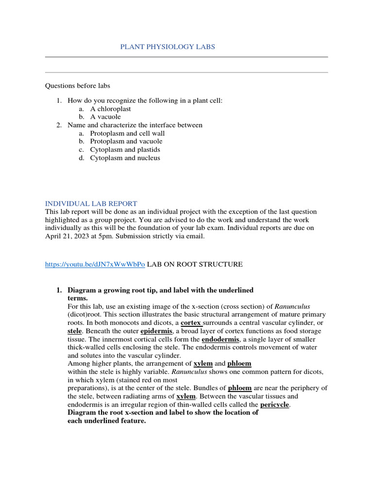 Plant Physiology LAB REPORT X | Download Free PDF | Plant Stem | Leaf