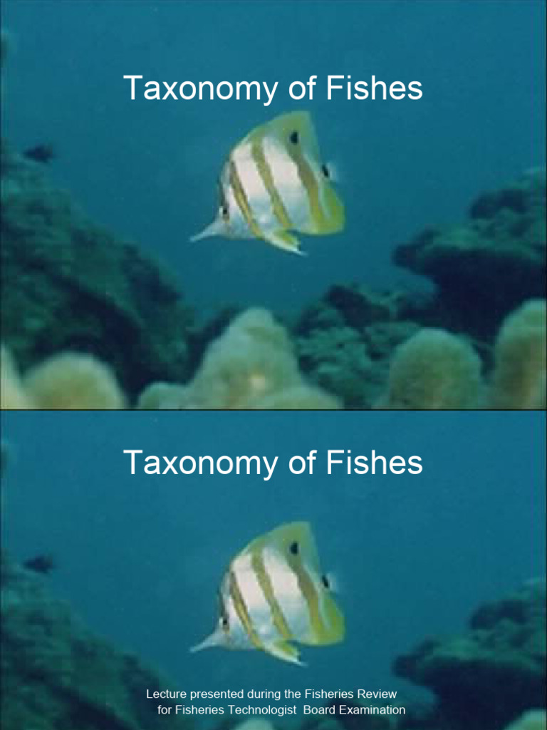 PRC Lecture-Fish Taxonomy | PDF