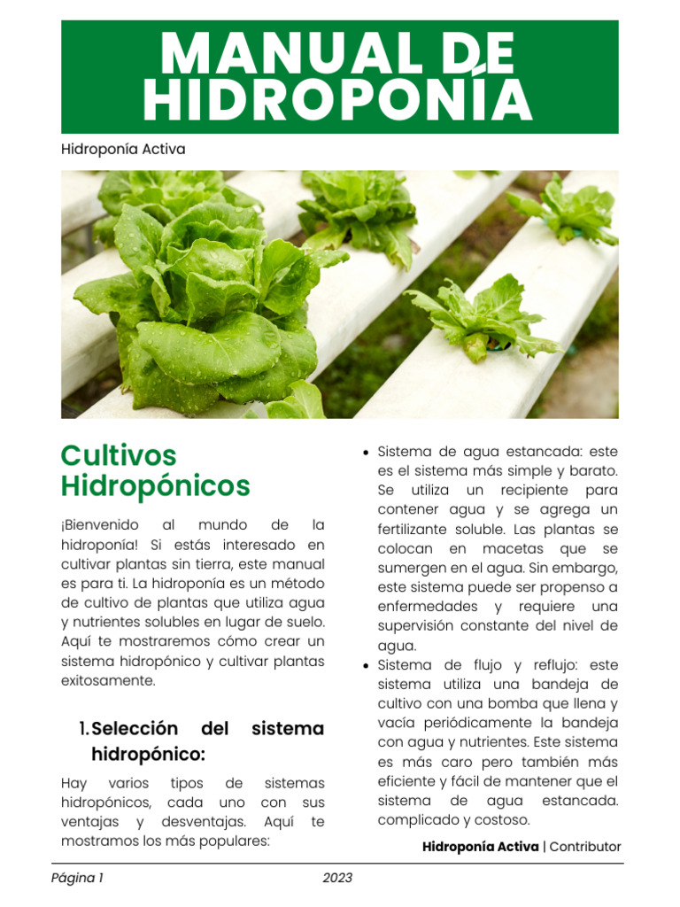 PDF Manual Gratis Hidroponía | PDF