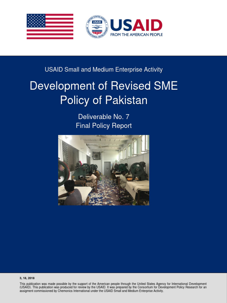 SME Policy Final Report | PDF | Small And Medium Sized Enterprises | Taxes