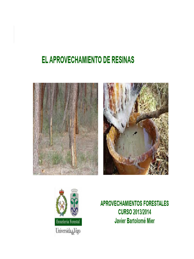 Presentacion 14 Aprovechamiento de La Resina JBM | PDF | Resina ...