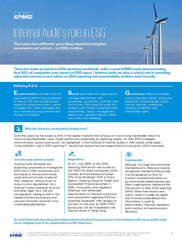 internal-audit-s-role-in-esg | PDF | Internal Audit | Audit