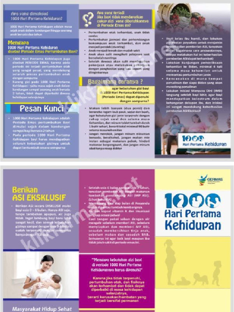 100 HPK Leaflet | PDF