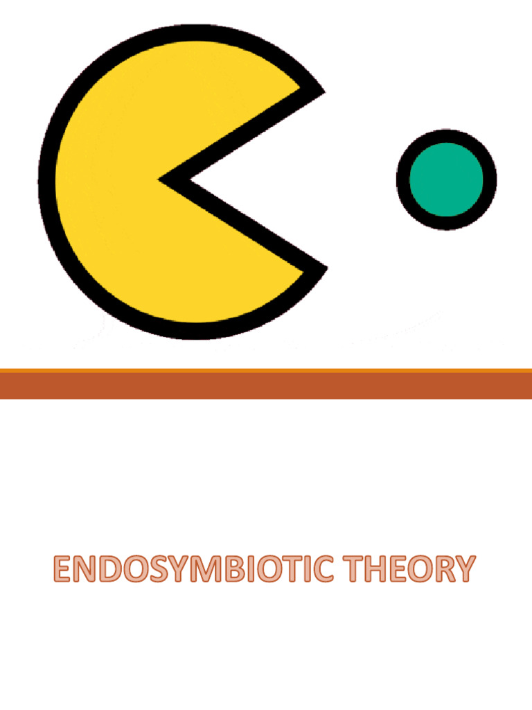 Endosymbiotic Theory-Types of Cells | PDF