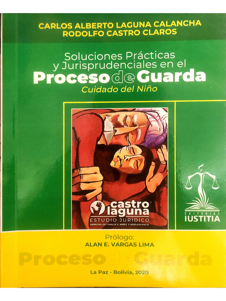 Índice Soluciónes Prácticas Al Proceso de Guarda | PDF