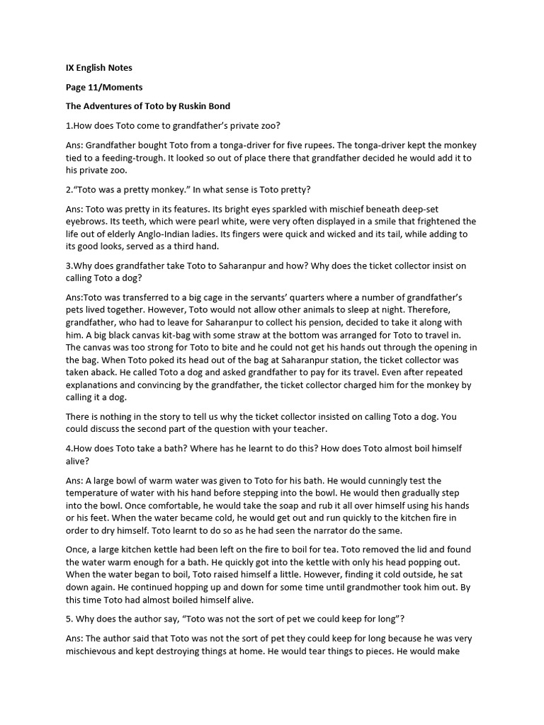 The adventures of toto | PDF