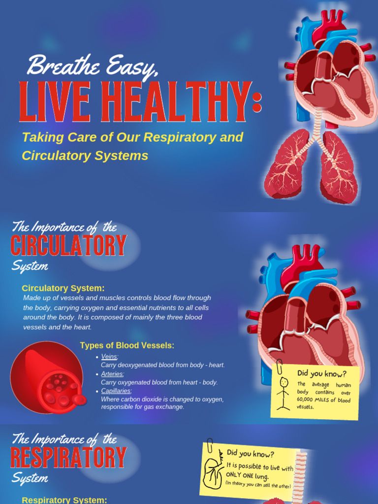 Q1 Group 5 - Science PT1 | PDF | Blood Vessel | Respiratory System
