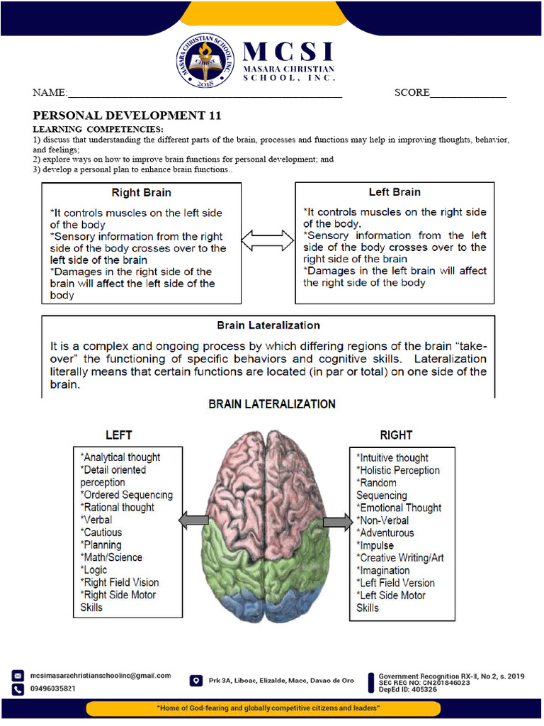 Personal Development 7 8 | PDF | Handedness | Cerebral Hemisphere