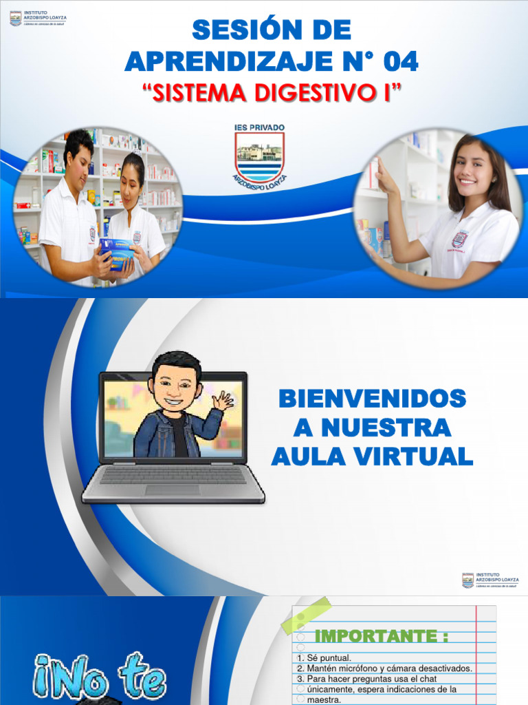 Sesión de Aprendizaje #4 - Sistema Digestivo I | PDF | Digestión | Sistema digestivo humano