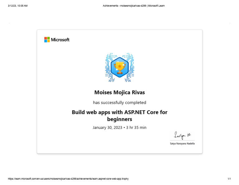 Build Web Apps With ASP - NET Core For Beginners | PDF
