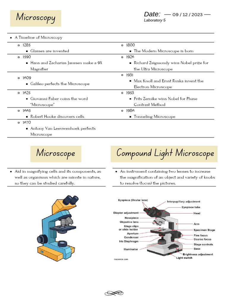 Transes Anaphy Lab 5 and 6 | PDF